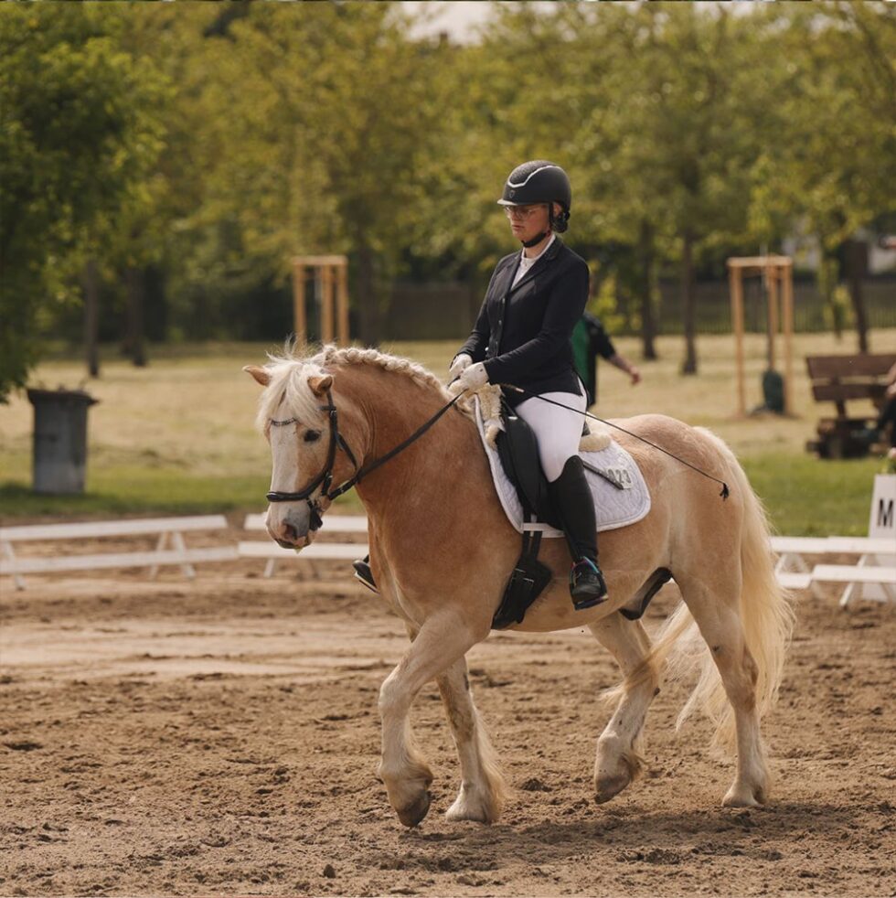 Sabrina Zimmermann - Sabrina Zimmermann - Pferdetraining und ...